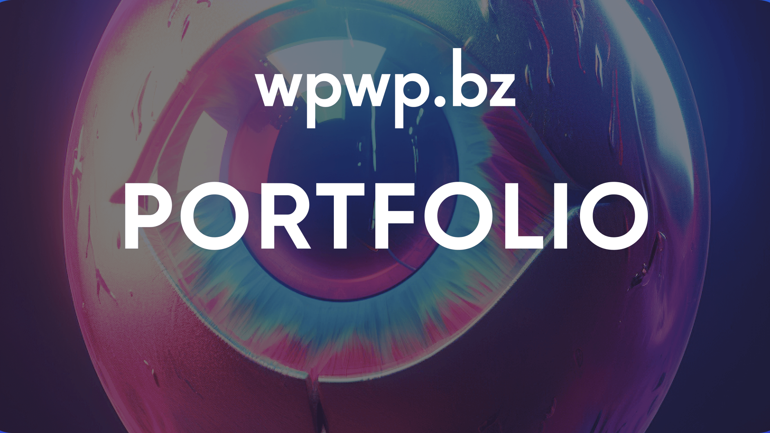 Our Portfolio | Web Studio WPWP